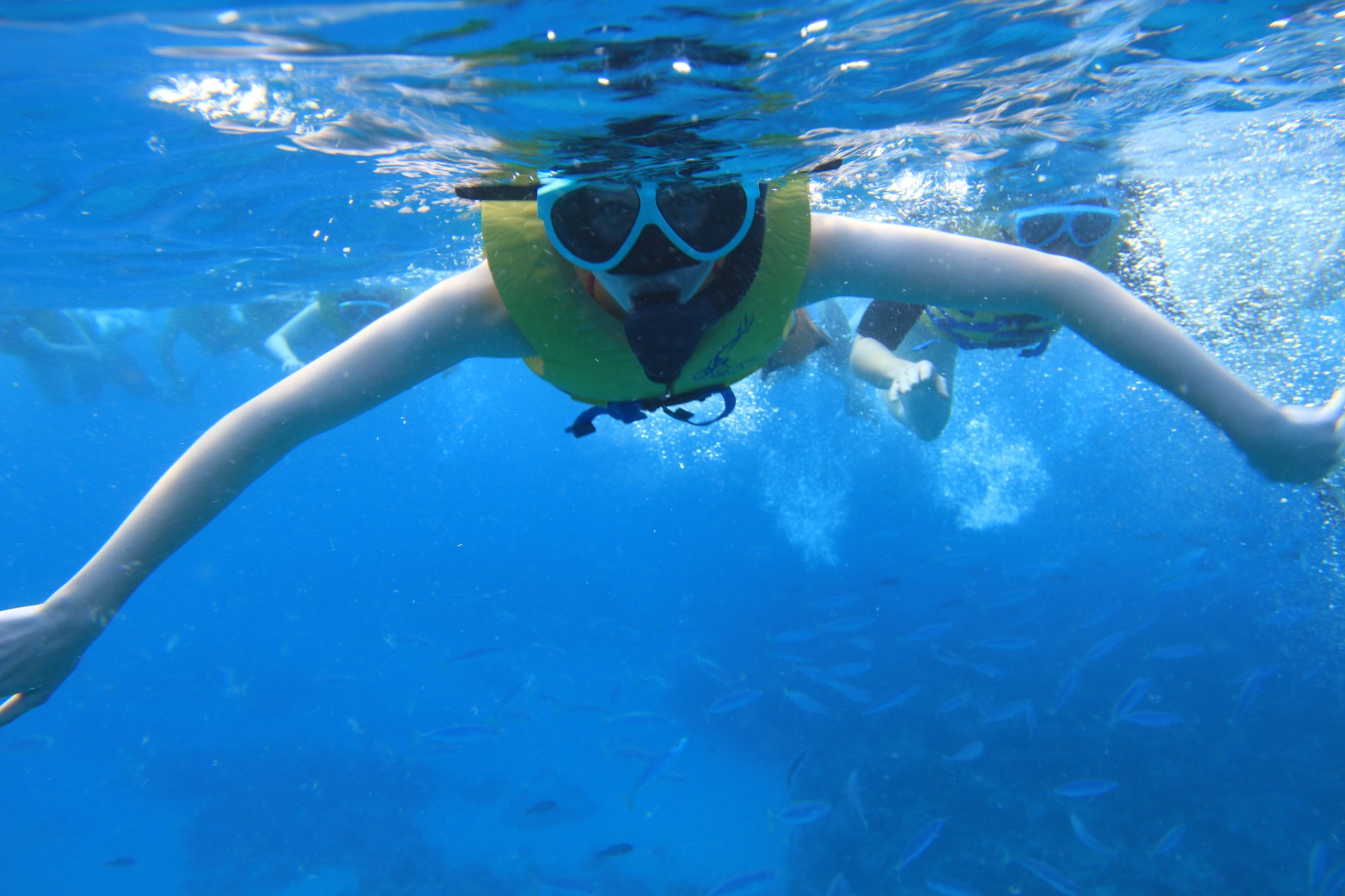 What to Expect on an Oahu Snorkel Tour