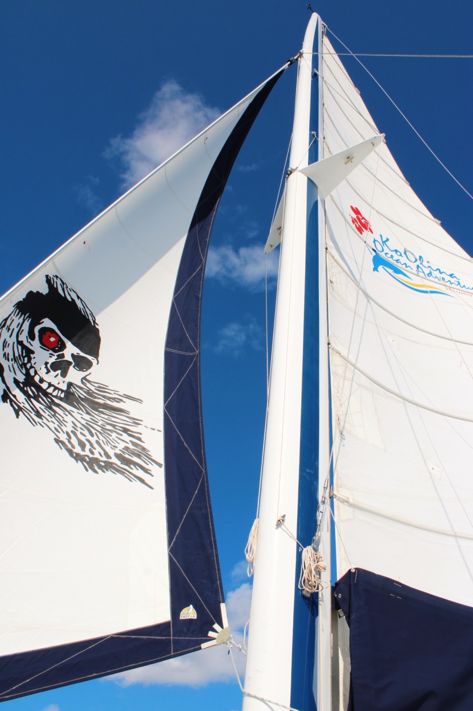 Discover the latest dry dock upgrades aboard Hololeʻa Kai.